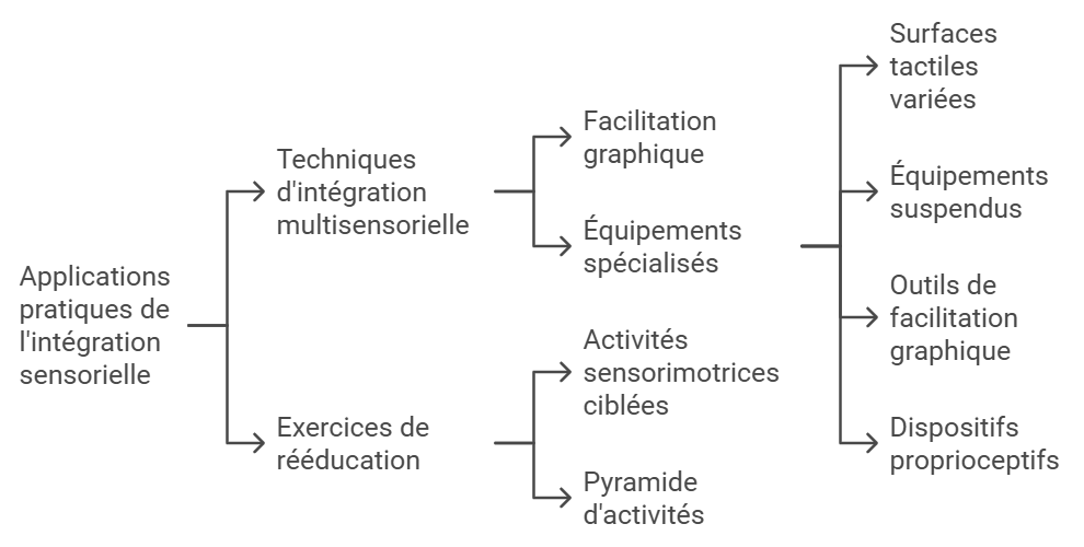 Intégration sensorielle : théories et applications | EDUMED
