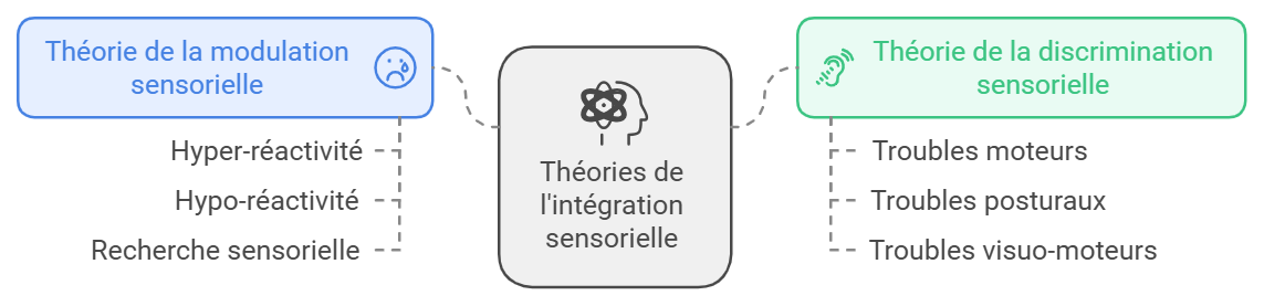 Intégration sensorielle : théories et applications | EDUMED